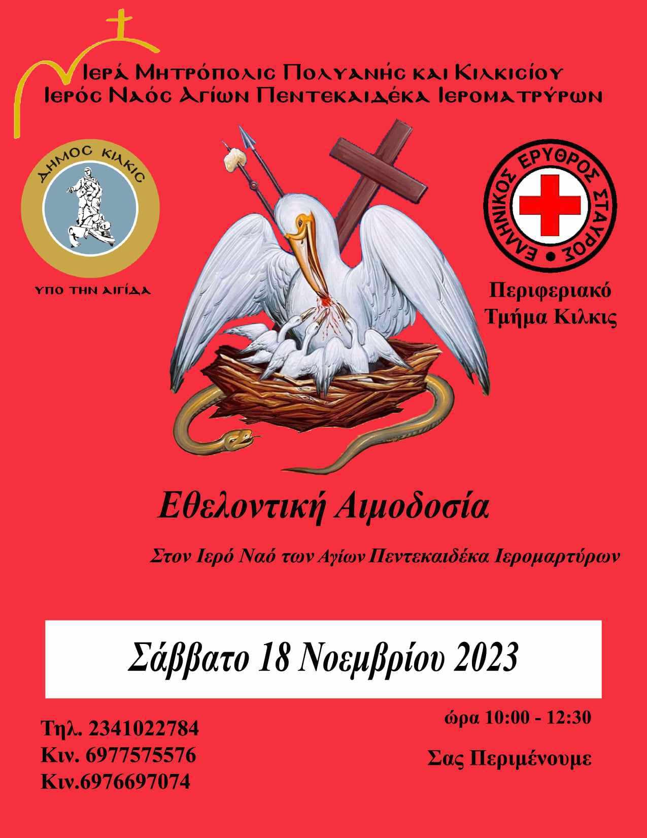 Εθελοντική Αιμοδοσία στους Αγίους Πεντεκαίδεκα Ιερομάρτυρες Κιλκίς ...